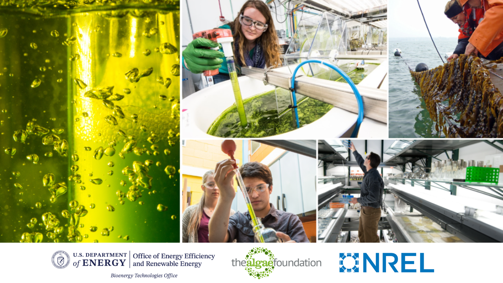 AlgaePrize 2025–2027 Competition | Department of Energy